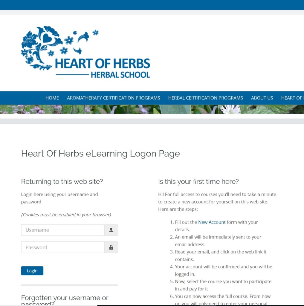 Nervous System | Heart Of Herbs Herbal School